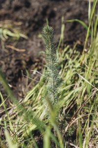 Saniflo Canada continues its commitment to sustainability - Mechanical ...