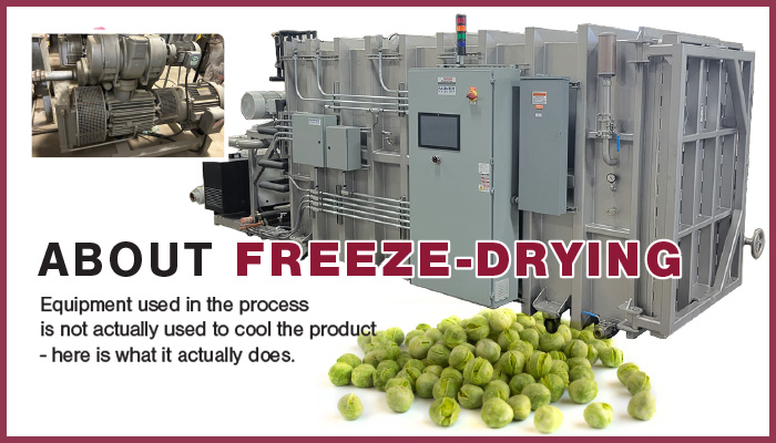 About freeze drying - Mechanical Business