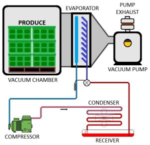 About freeze drying - Mechanical Business