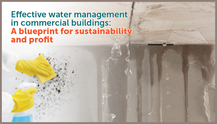 Effective water management in commercial buildings: A blueprint for ...